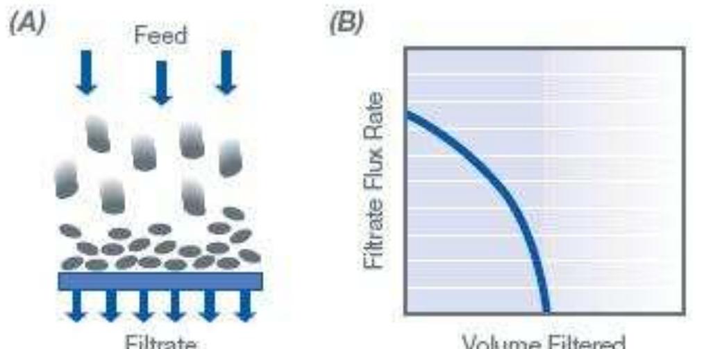 (PDF) Introduction to Tangential Flow Filtration for Laboratory and ...