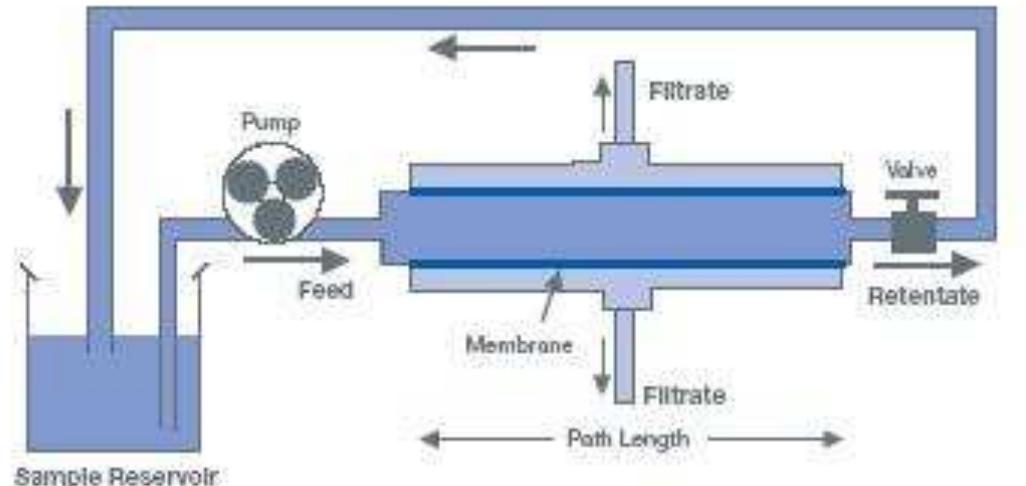 (PDF) Introduction to Tangential Flow Filtration for Laboratory and ...