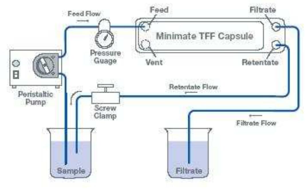 Diagram of a minimate tff capsule system with pump, pressure