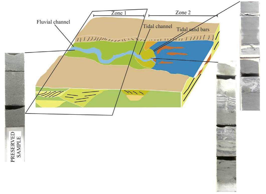 Conceptual model of abu madi formation and core photos for
