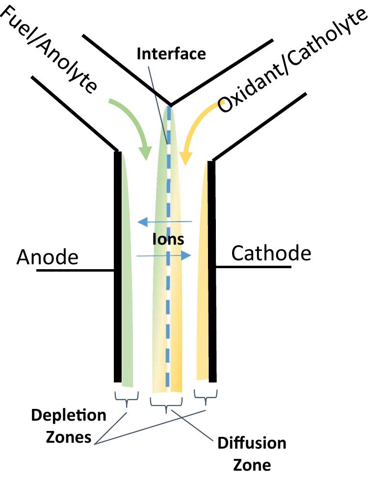 Schematic of a single-phase co-laminar flow cell design.