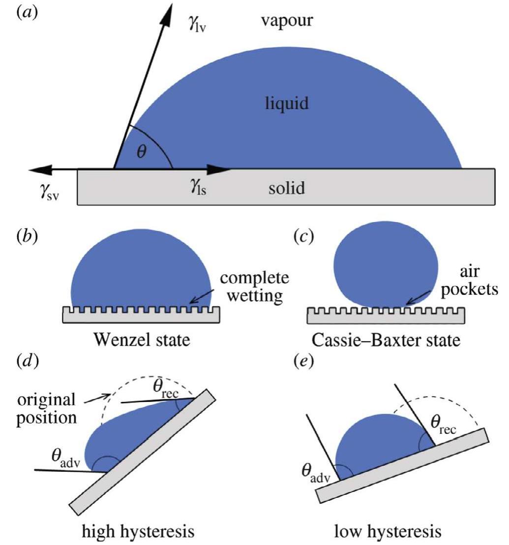 Schematic of (a) young’s equation, (b) wenzel model of