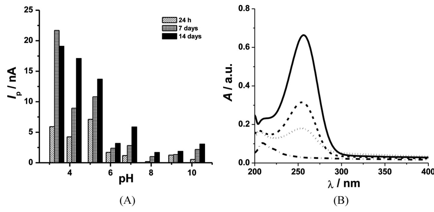 (a) plot of j,, vs. ph of peak 2, current after 24h, 7, and