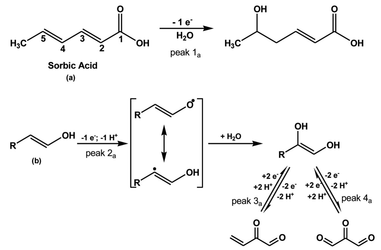 Proposed oxidation mechanism of (a) sorbic acid and (b)