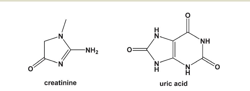 The chemical structures of creatinine and uric acid. their