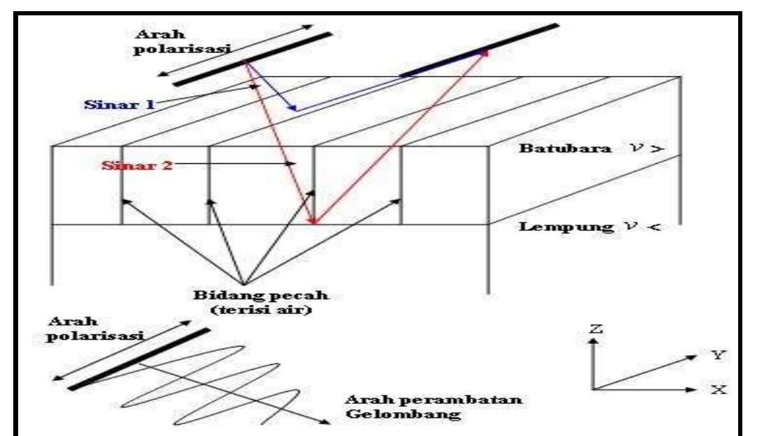 Gambar 2. gambaran arah polarisasi (arah y) dan arah