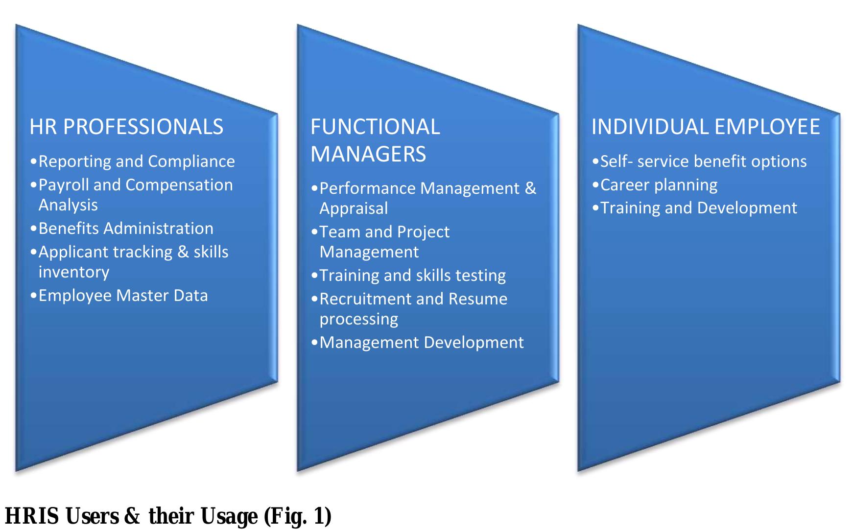 (PDF) HRIS Implementation in Organizations: Issues & Challenges