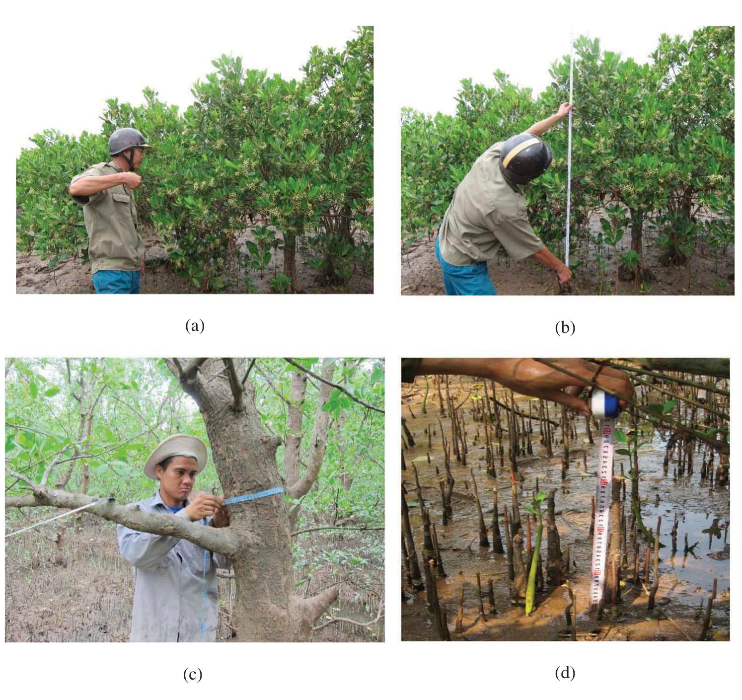 Photos of measurement of biophysical parameters of k.