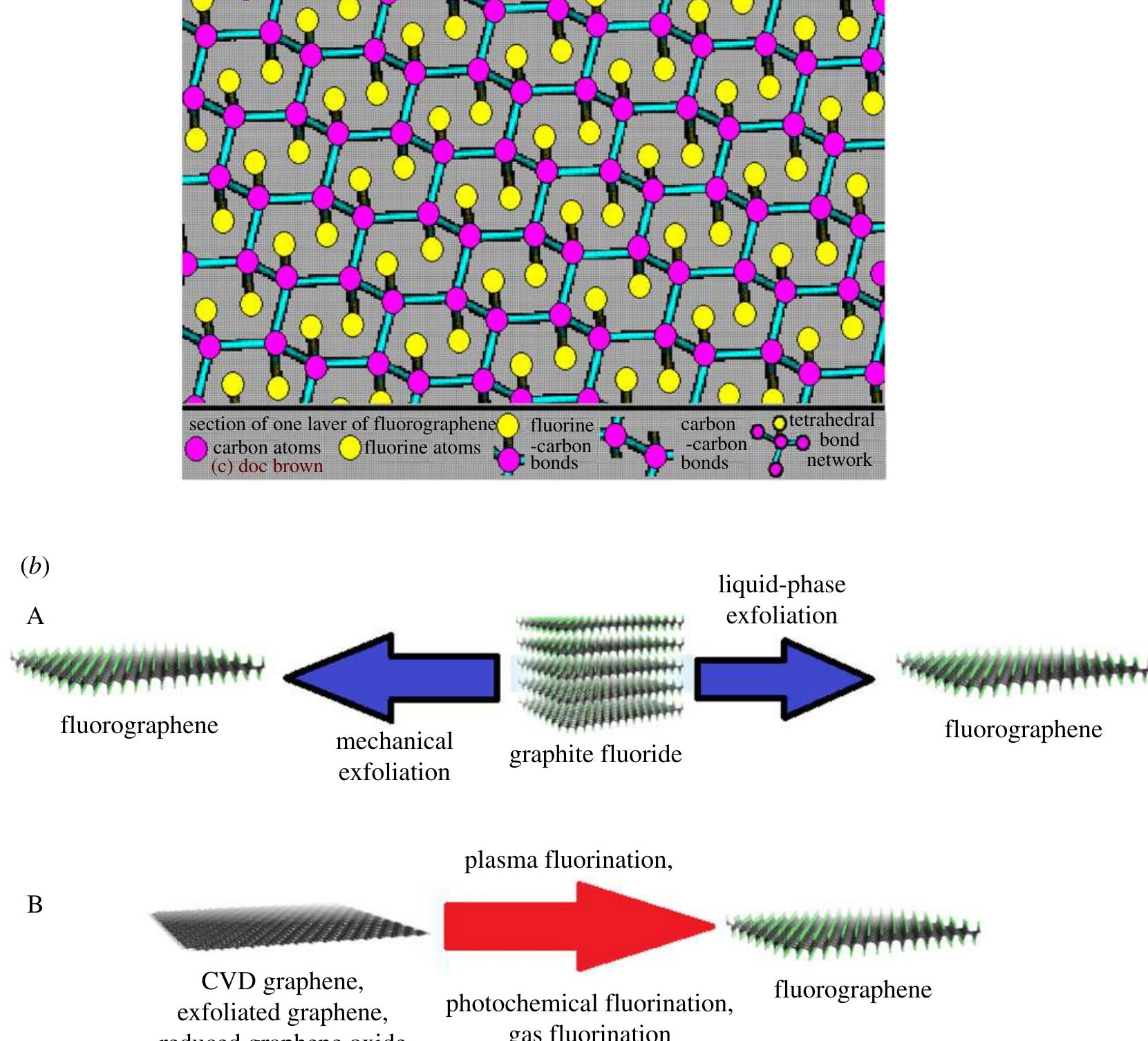 (a) schematic structure of fluorographene (picture courtesy