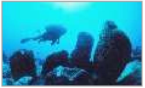 The currently submerged neolithic village of atlit yam in