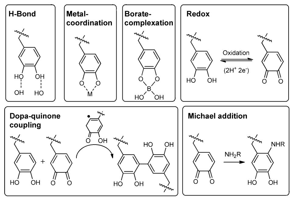 Examples of mussel-inspired catechol chemistry bidentate