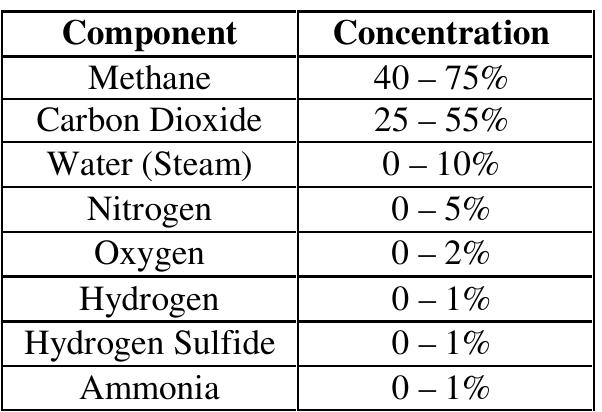 Typical components of a biogas [1]