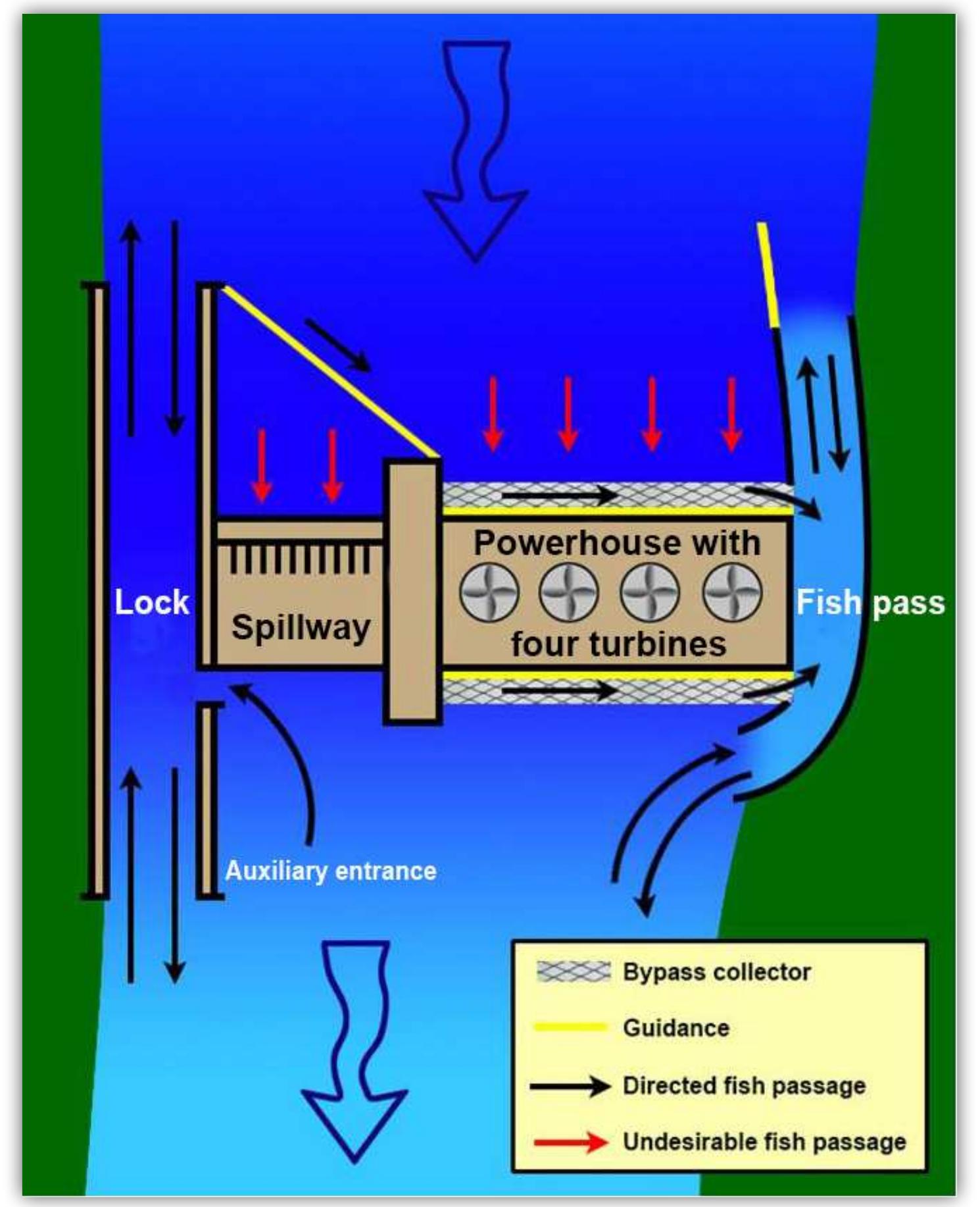 Schematic plan view of a hydropower dam showing upstream and