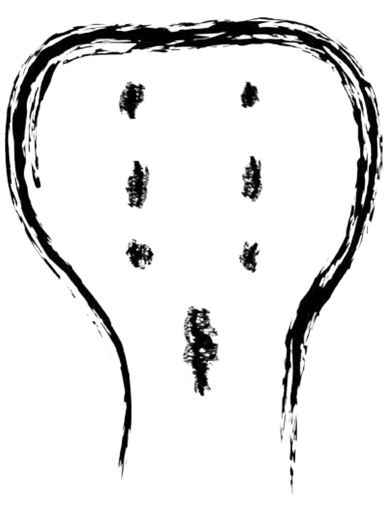 The symbol for a spring from a circa 4,000 year old oracle