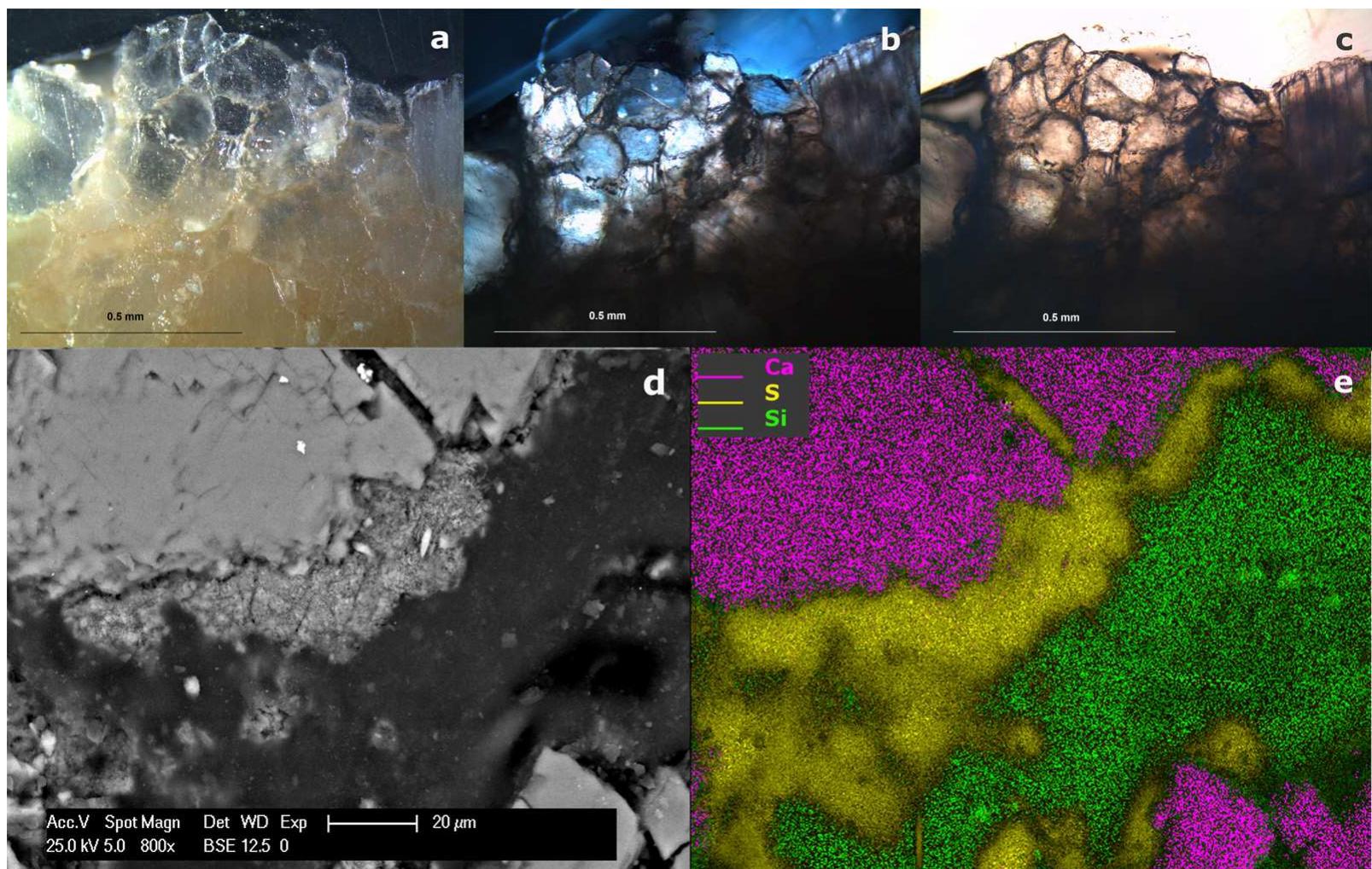 (a-e) photomicrographs of a cross-section of the fragment