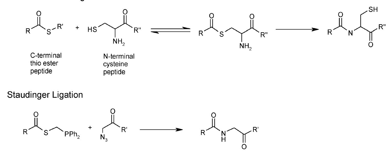 Examples of newer methodologies for amide bond formation.