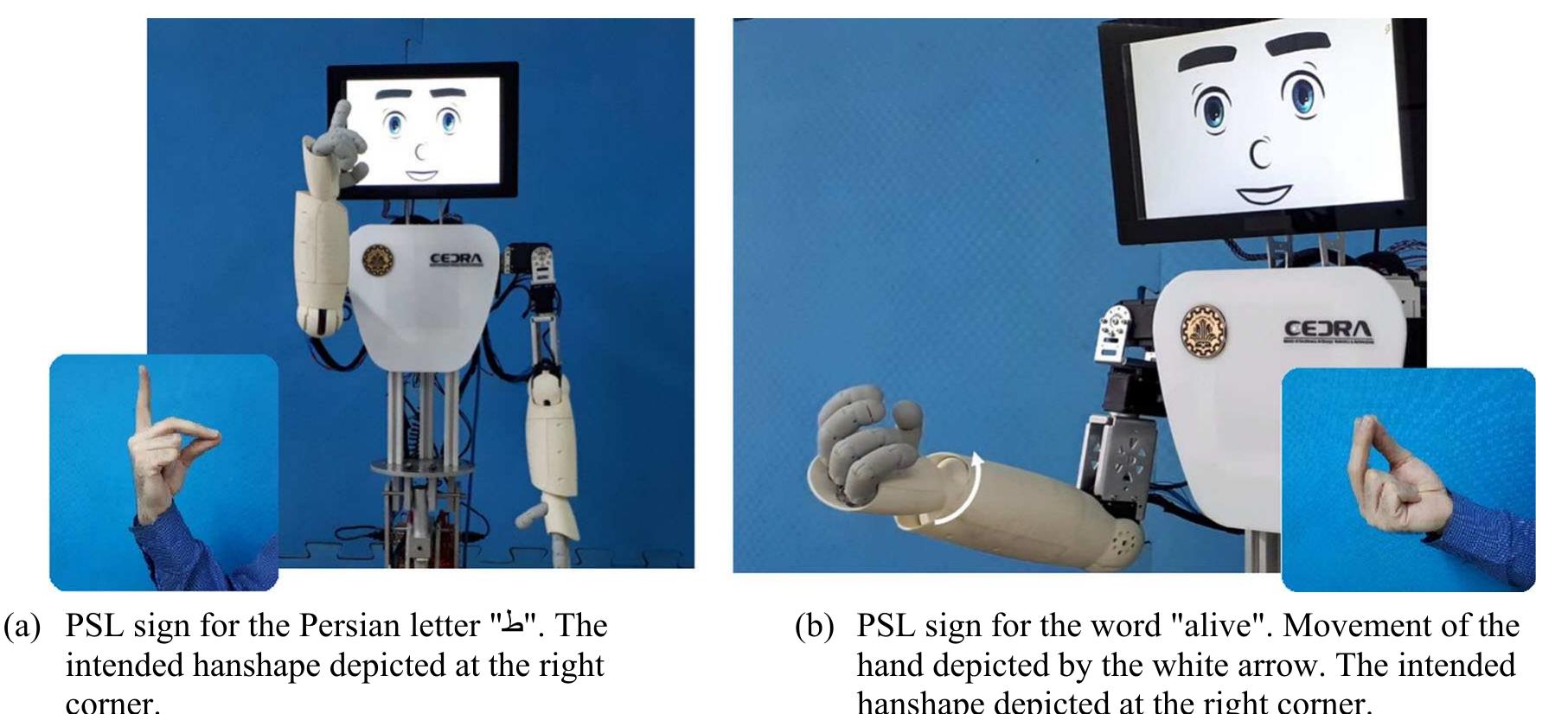 Examples of some misinterpreted signs we have presented