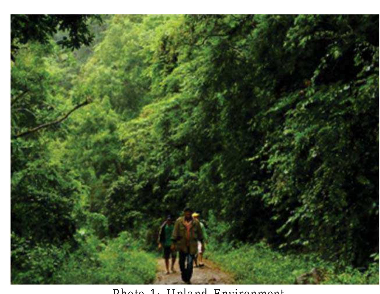 Forest ecosystems are classified according to their tropical