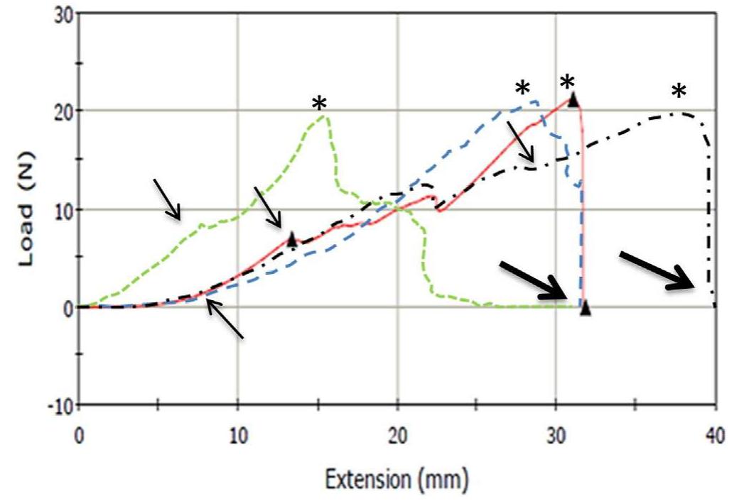 Graphical presentation the strain-stress curve to assess the