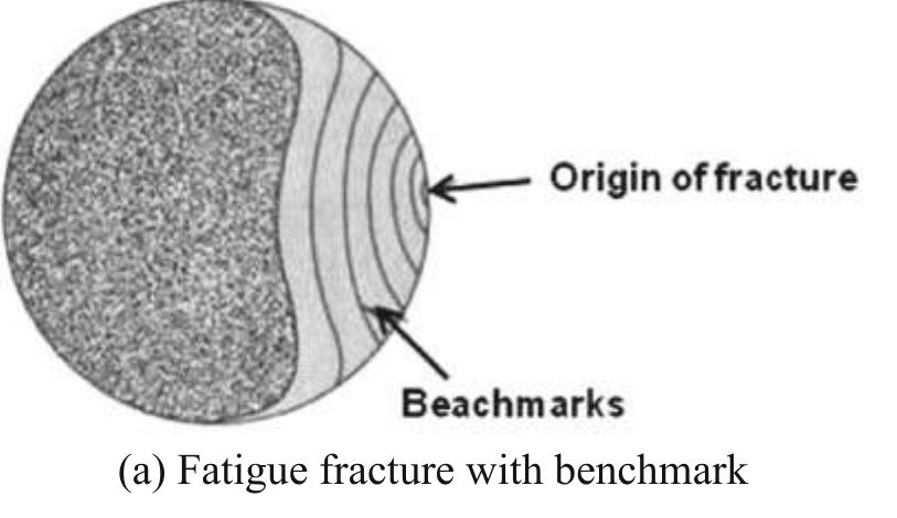 Schematic representation of fatigue fracture surface