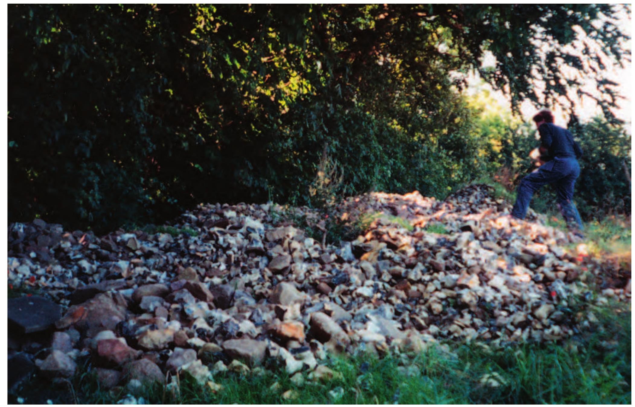 (PDF) Scandinavian Flint-an Archaeological Perspective