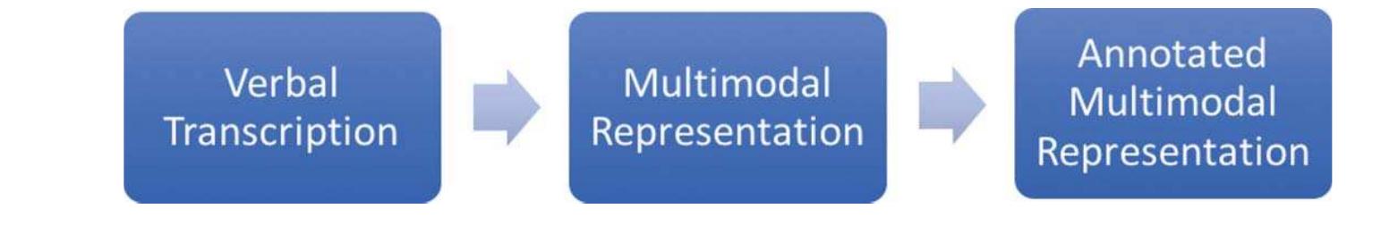 Progression illustration of the multimodal analysis
