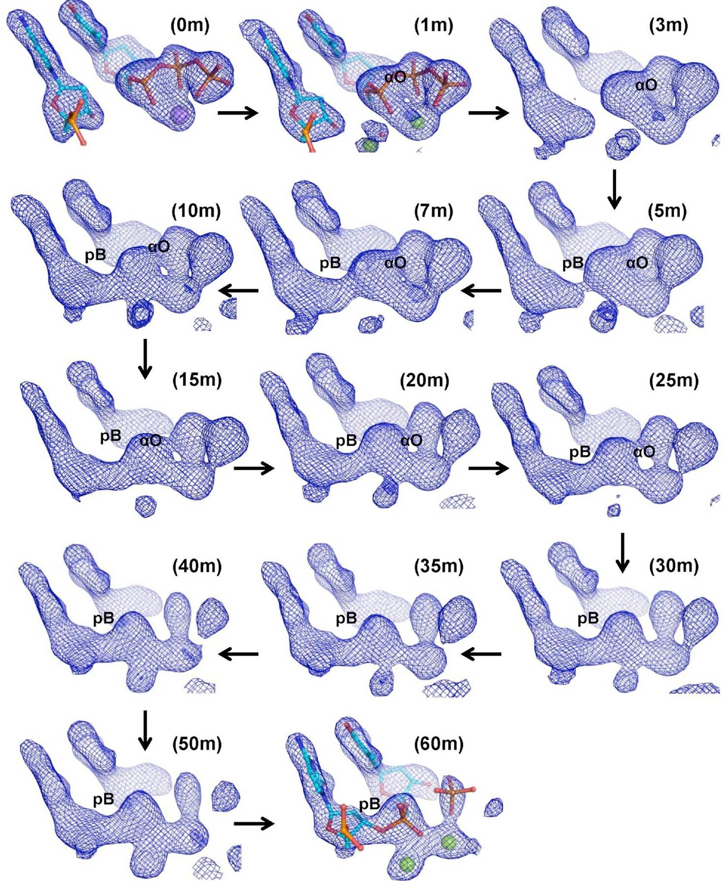 Electron Density Maps Depicting The Sequence Of Events
