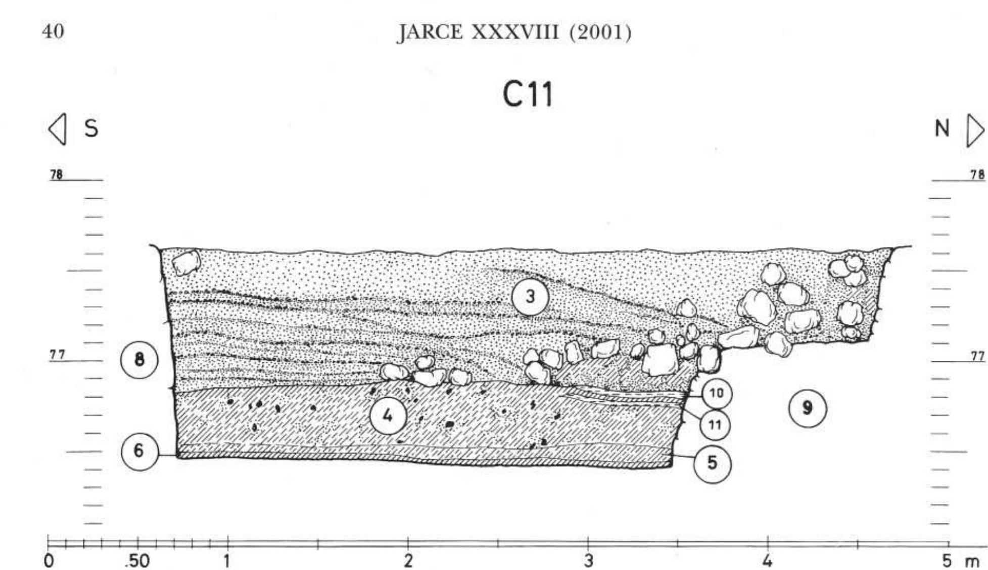 C11 stratigraphic drawing of western section of the