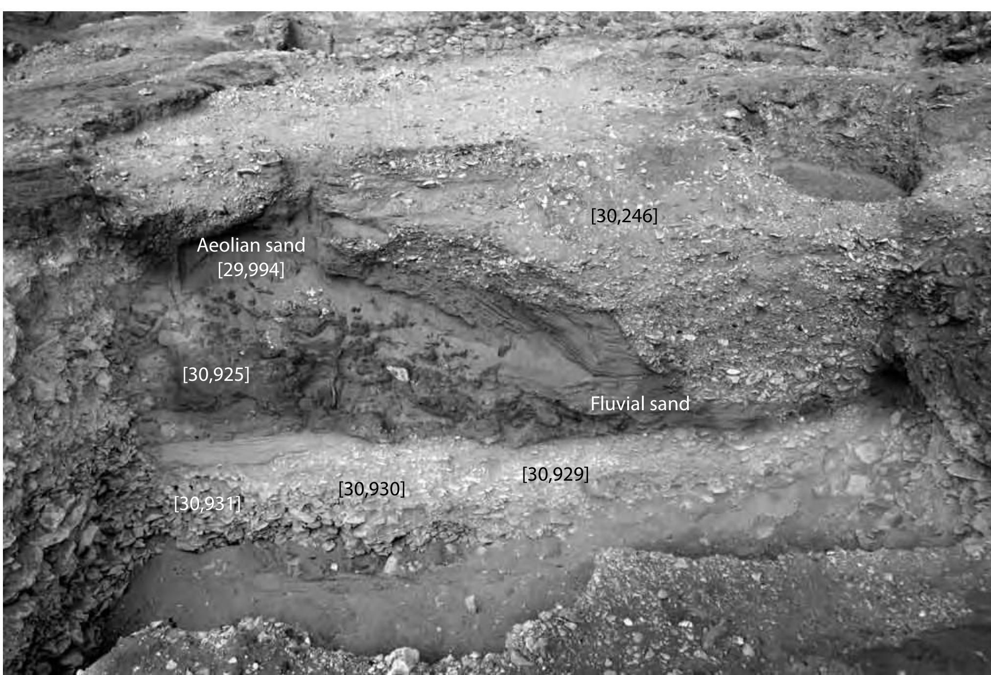 30. south-facing section of trench a showing fluvial sand