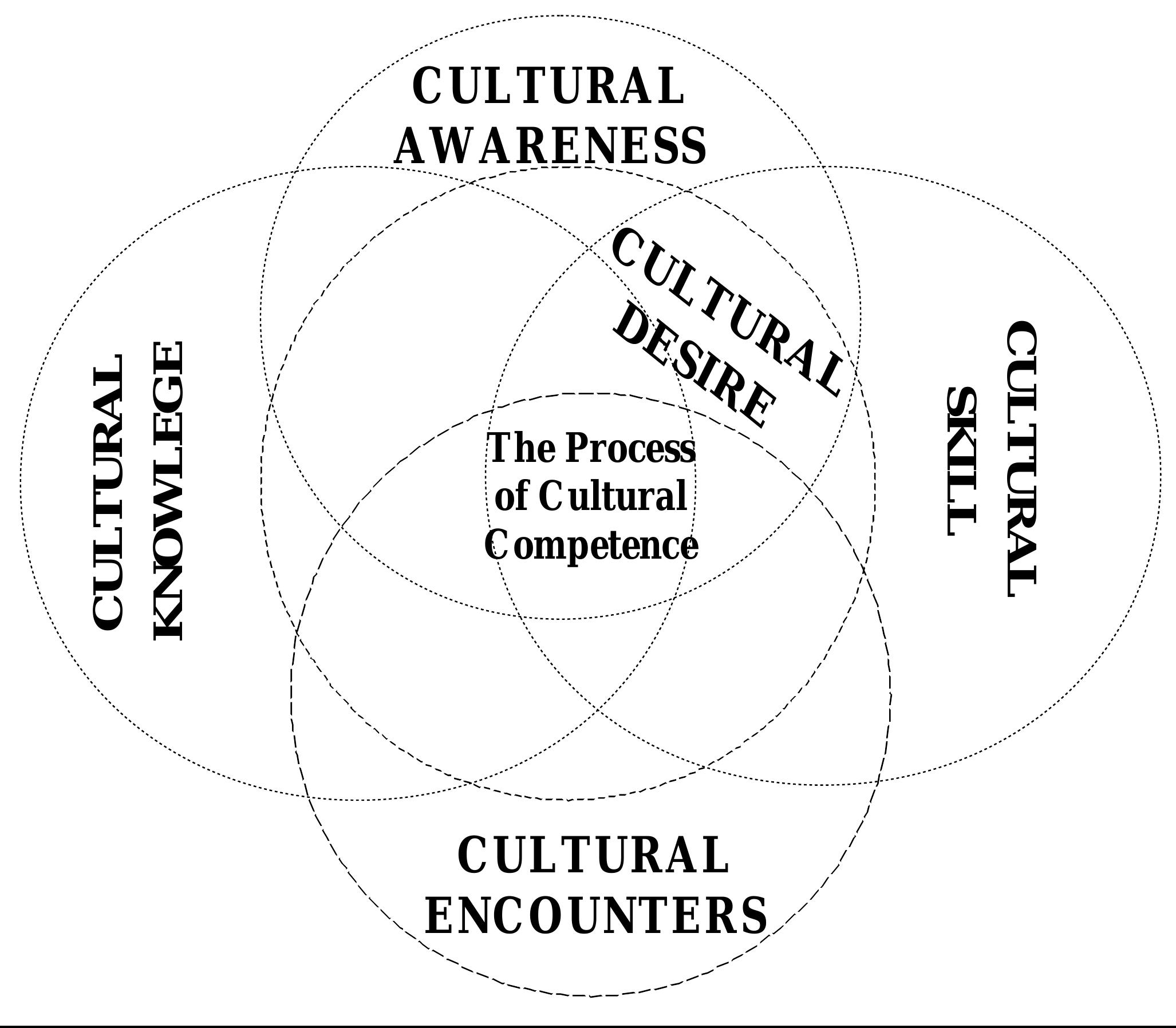 (PDF) The process of cultural competence in the delivery of healthcare ...