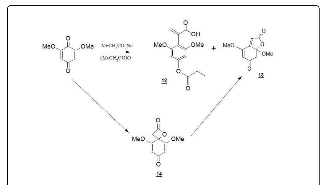 Figure 9 - from A Concise Introduction of Perkin Reaction