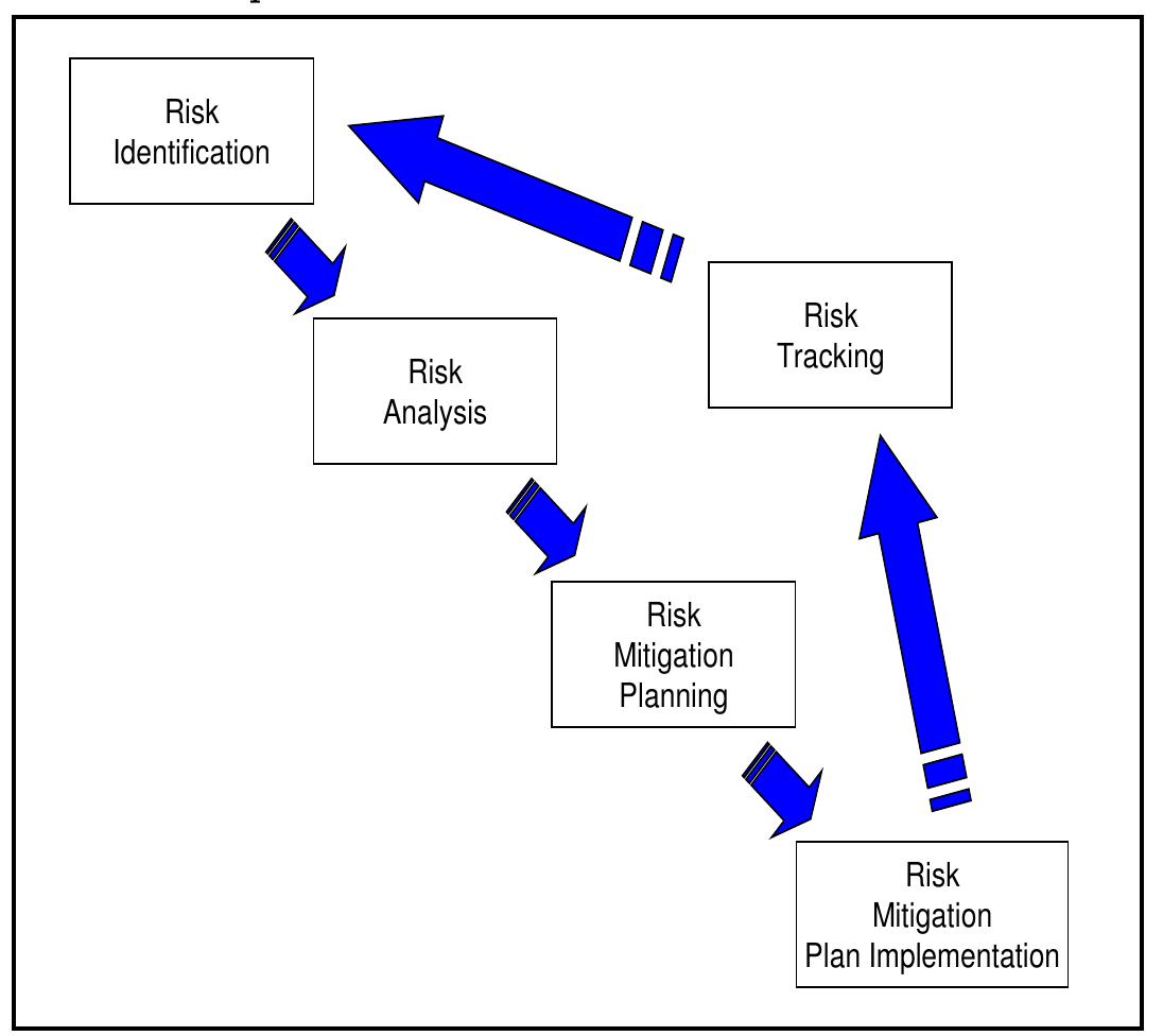Risk management process