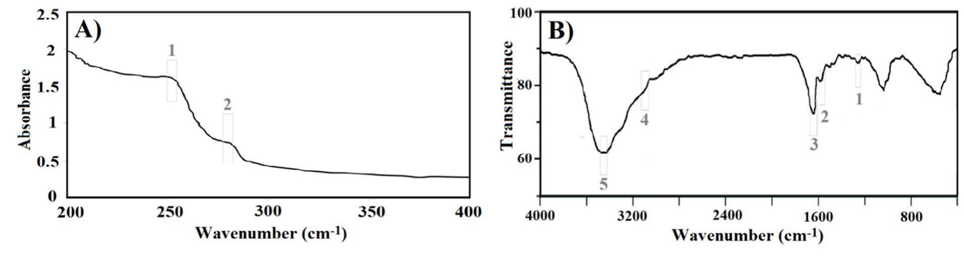 The outputs of gelma investigations by (a) uv-vis; (b) ftir.