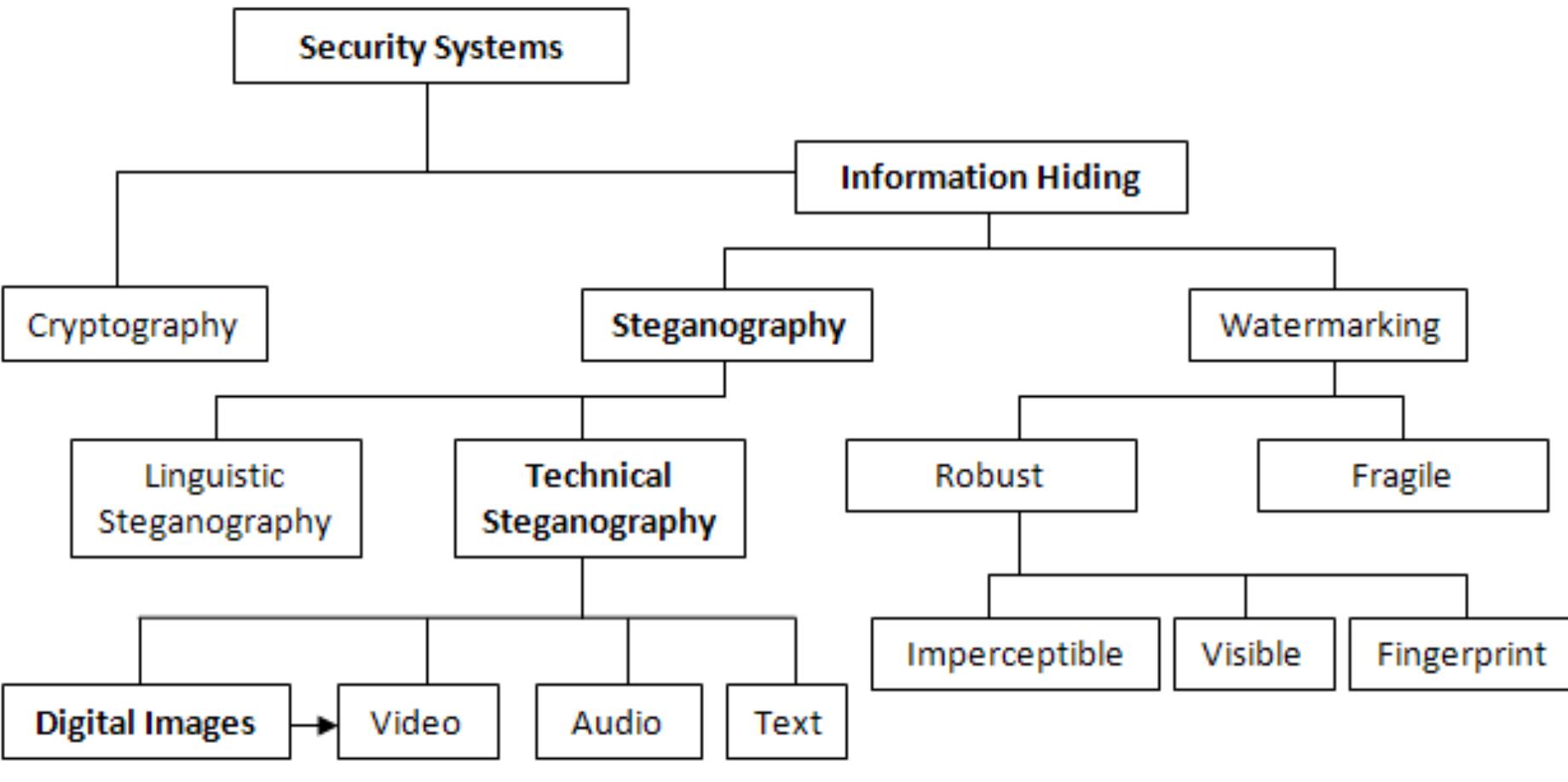 (PDF) Steganoflage: A New Image Steganography Algorithm