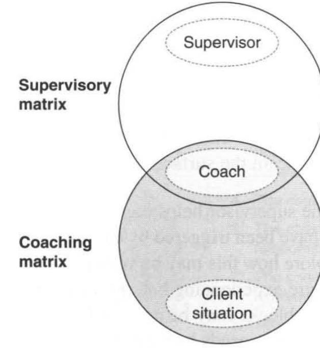 2 the seven-eyed model of coaching supervision. time with
