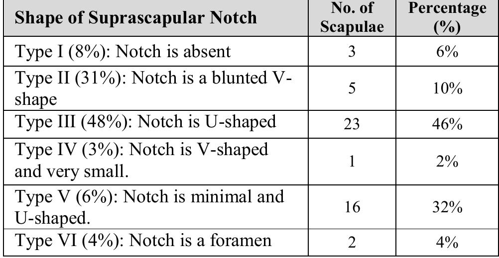(PDF) Anatomy of Suprascapular Notch (SSN), Suprascapular Nerve Entrapment and its Clinical ...