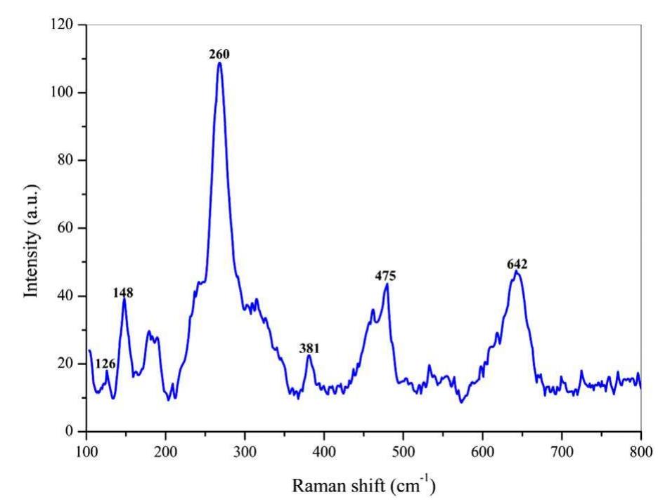 Raman spectrum of zro2 nanoparticles. fig. 7. (a) survey