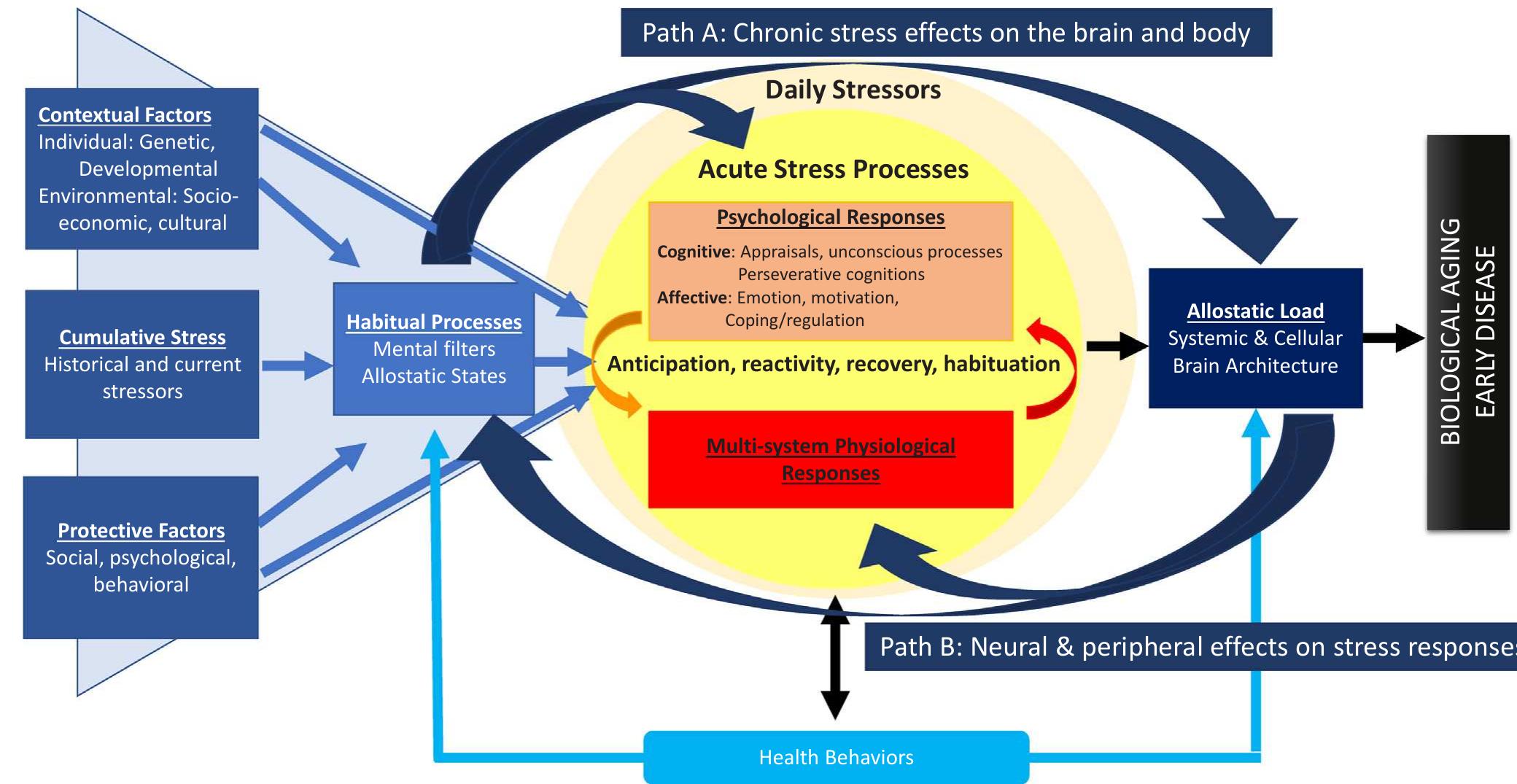 (PDF) More than a feeling: A unified view of stress measurement for ...