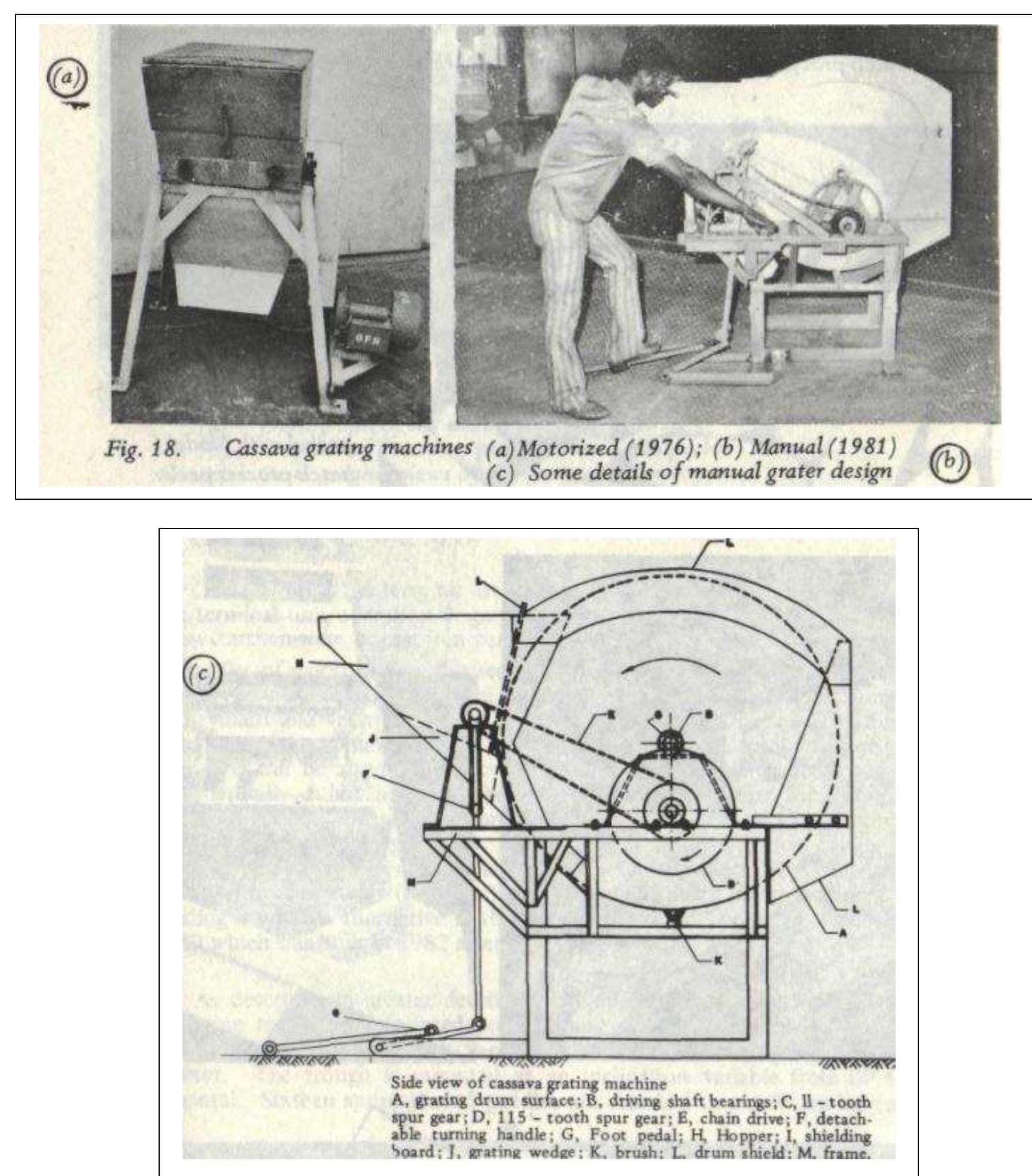 Sizes of the resultant gari mash, is achieved and the