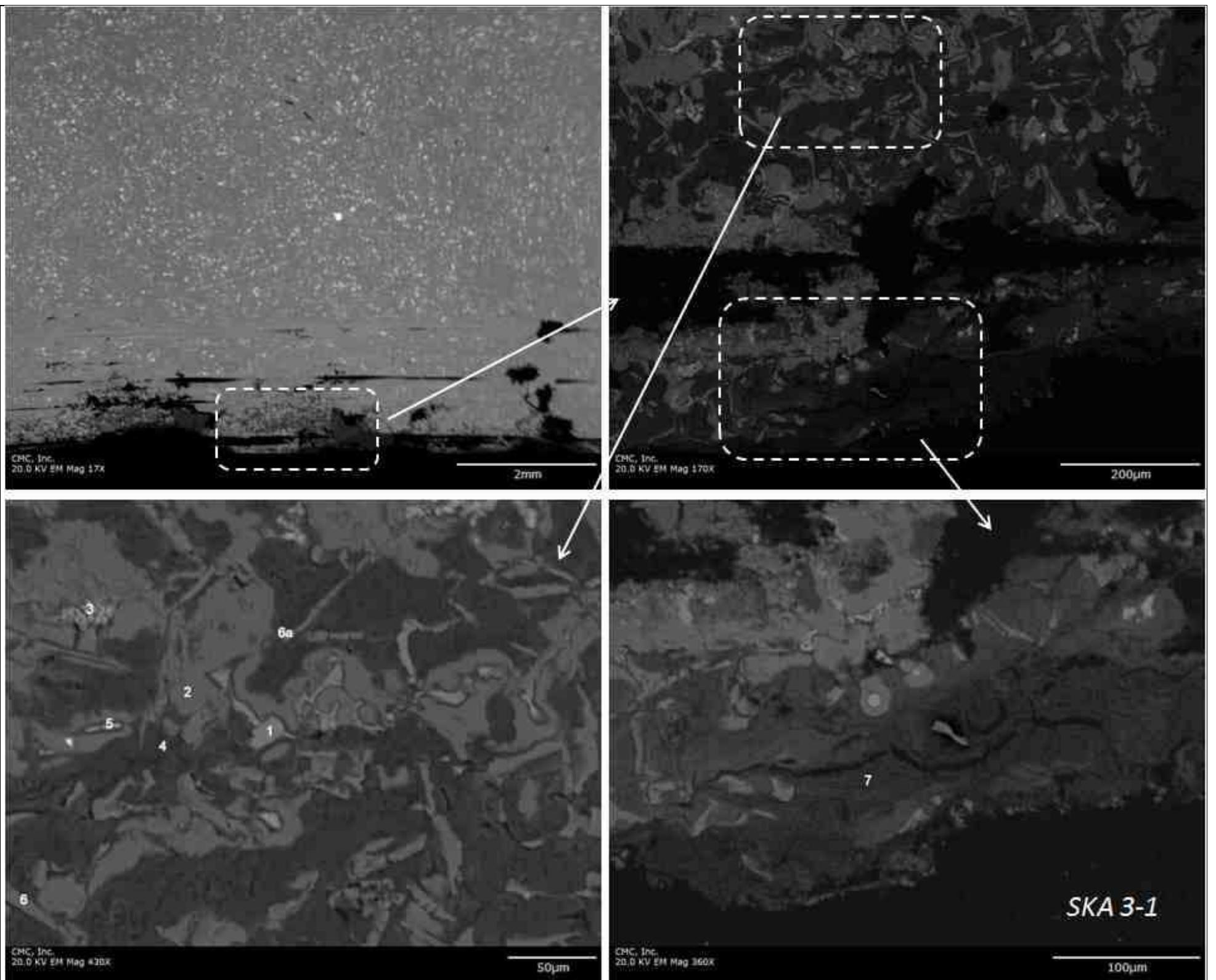 Backscatter electron images of cross section of an aluminum