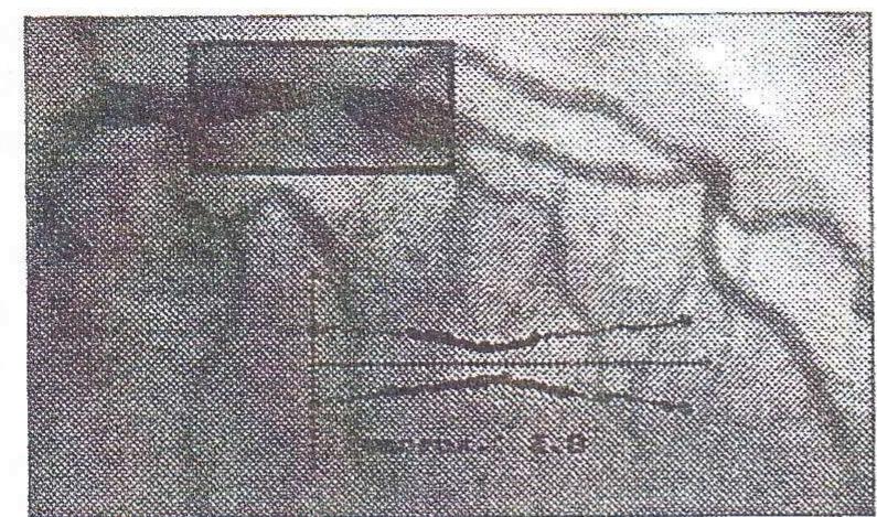 In figure 3 are presented examples, which show recognition