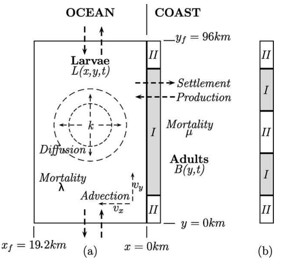 - schematic representation of the model: (i) suitable