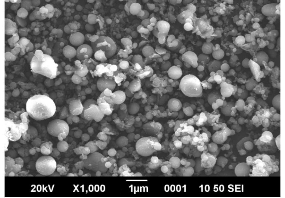 The sem photographs of nanoparticles are shown in figure