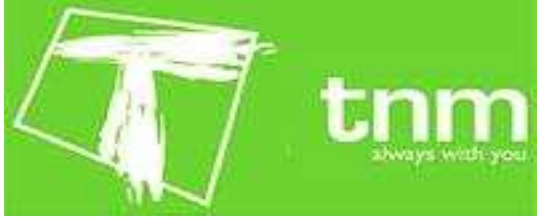 Tnm’s new brand logo 2008). figure 4 is tnm‘s brand logo.