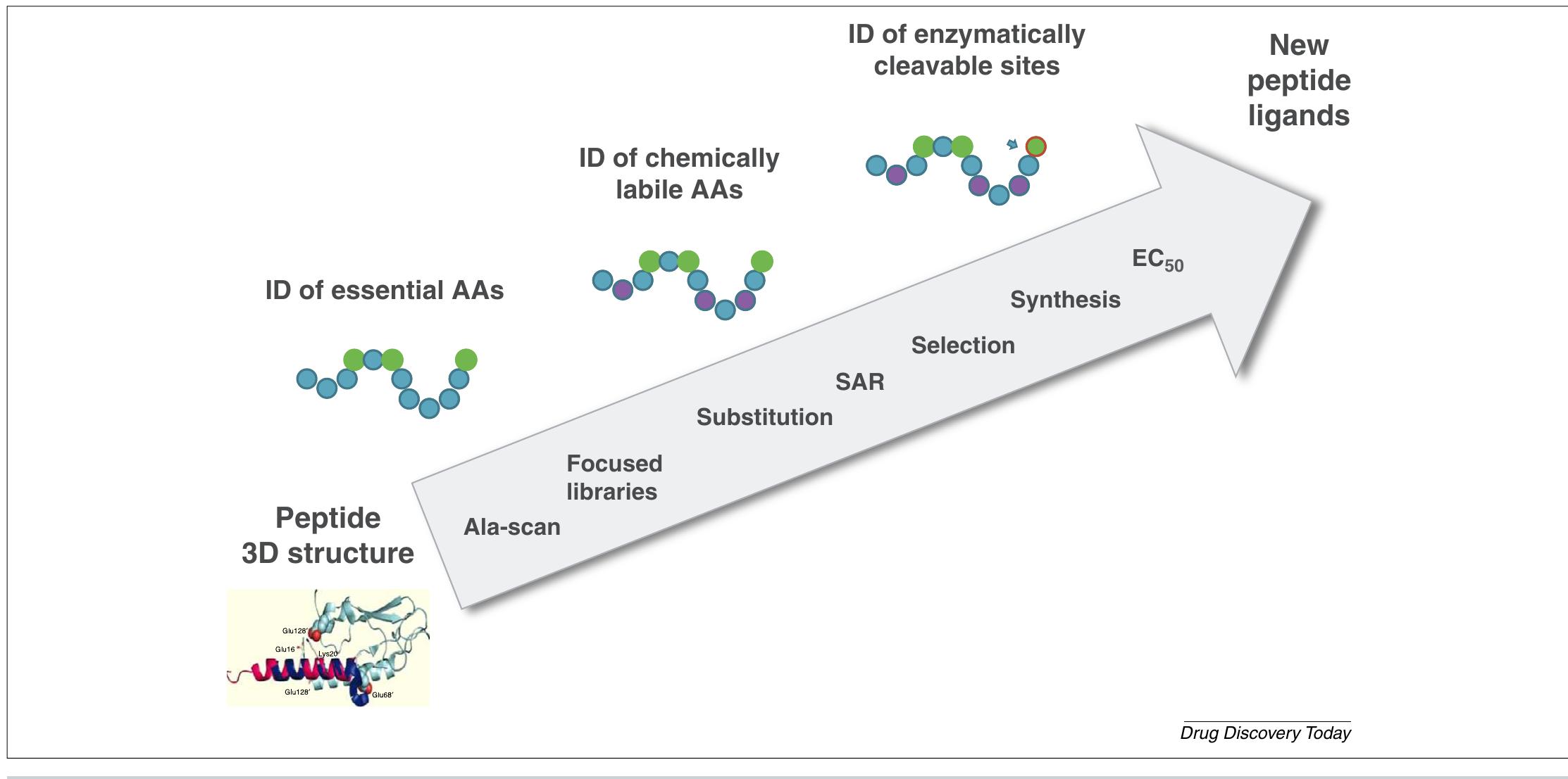 The traditional structure-based design strategies that are