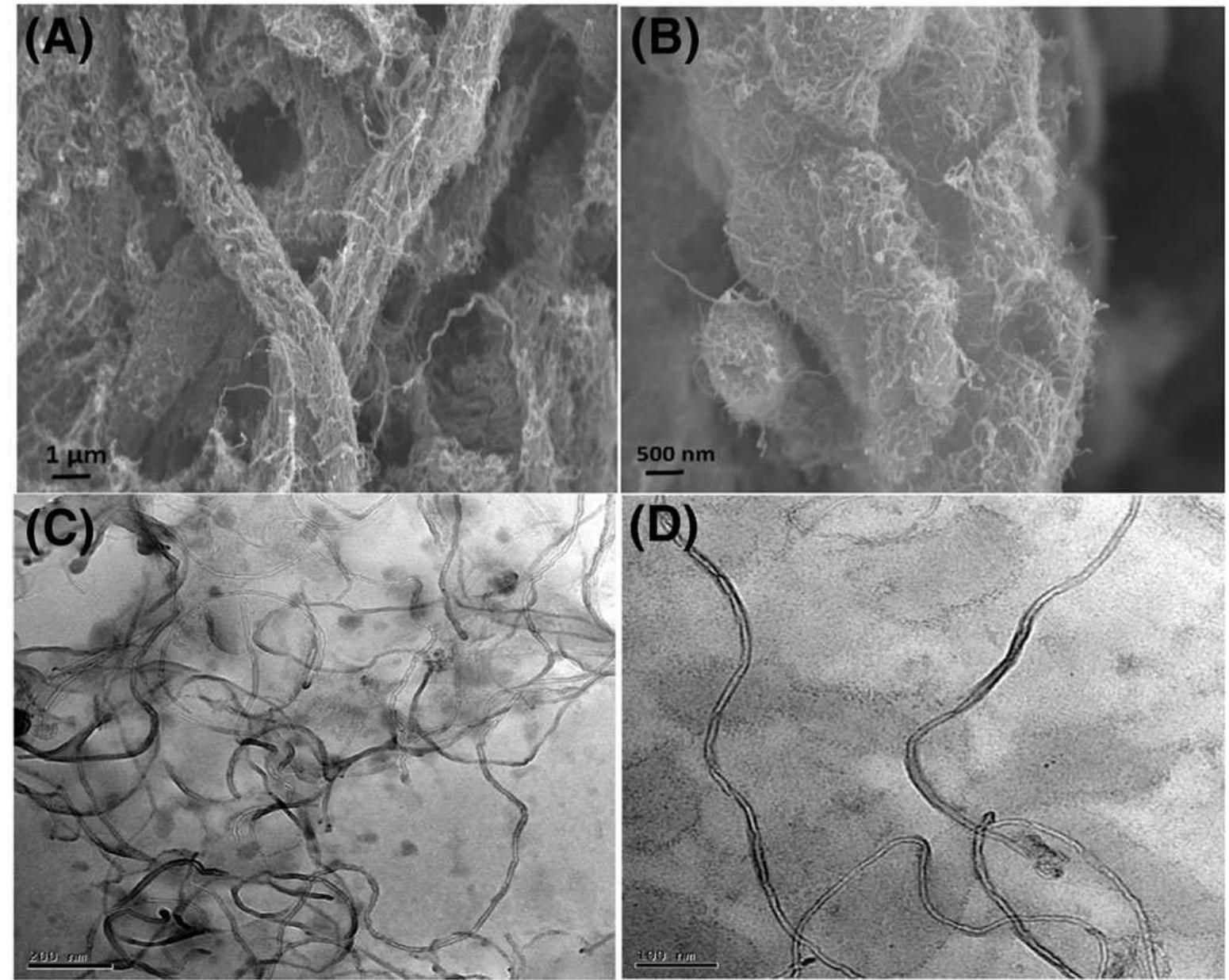 (a, b) scanning electron microscopy micrograph and (c, d)