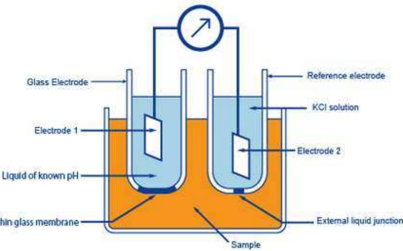 (PDF) Glass electrode.pdf