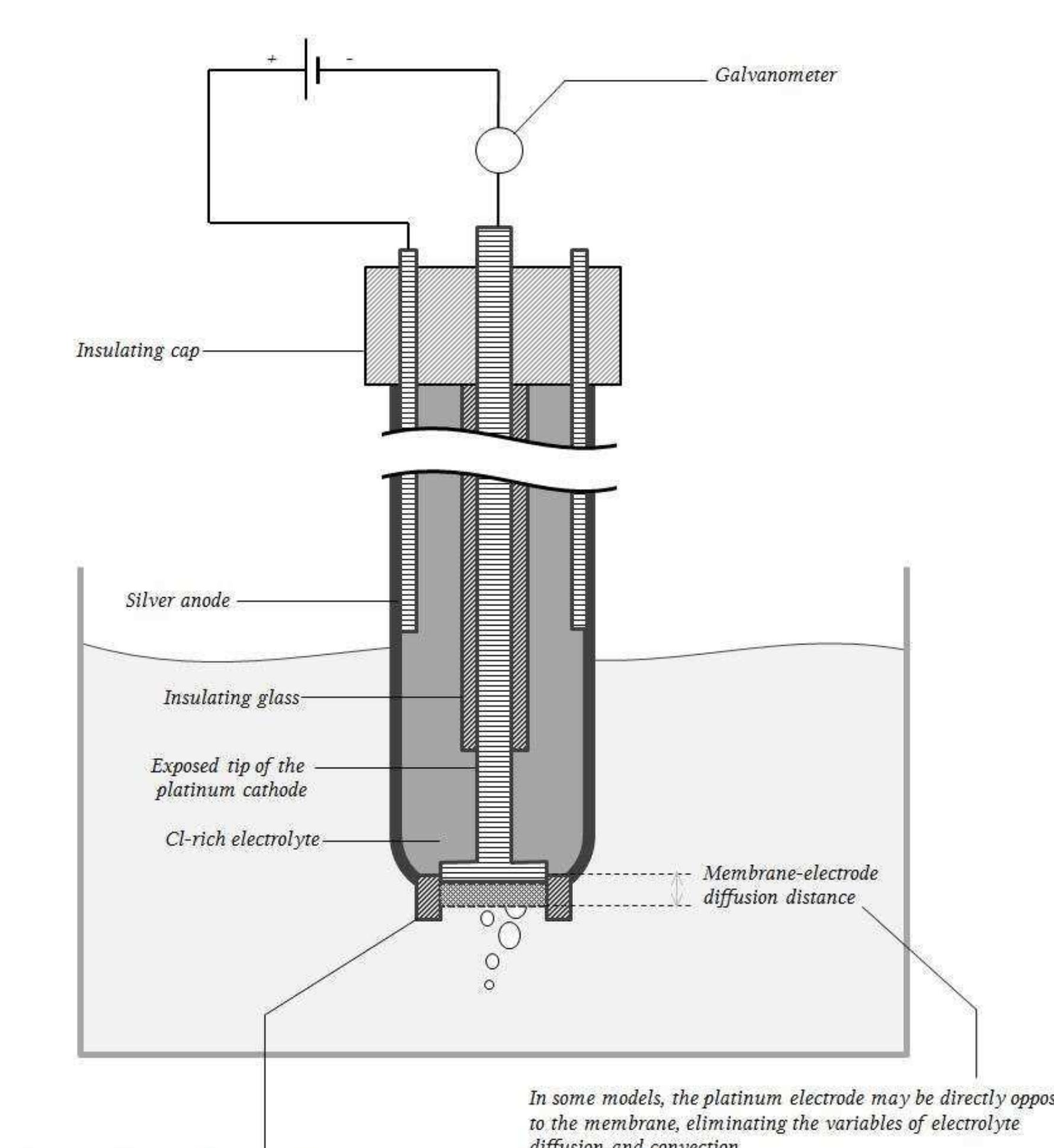 (PDF) THE CLARK OXYGEN ELECTRODE