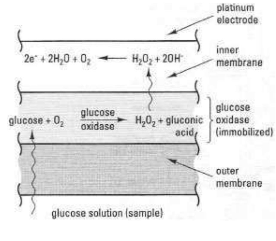(PDF) THE CLARK OXYGEN ELECTRODE