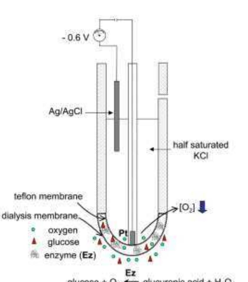 (PDF) THE CLARK OXYGEN ELECTRODE